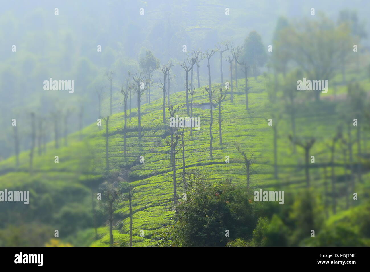 Bree park hi-res stock photography and images - Alamy