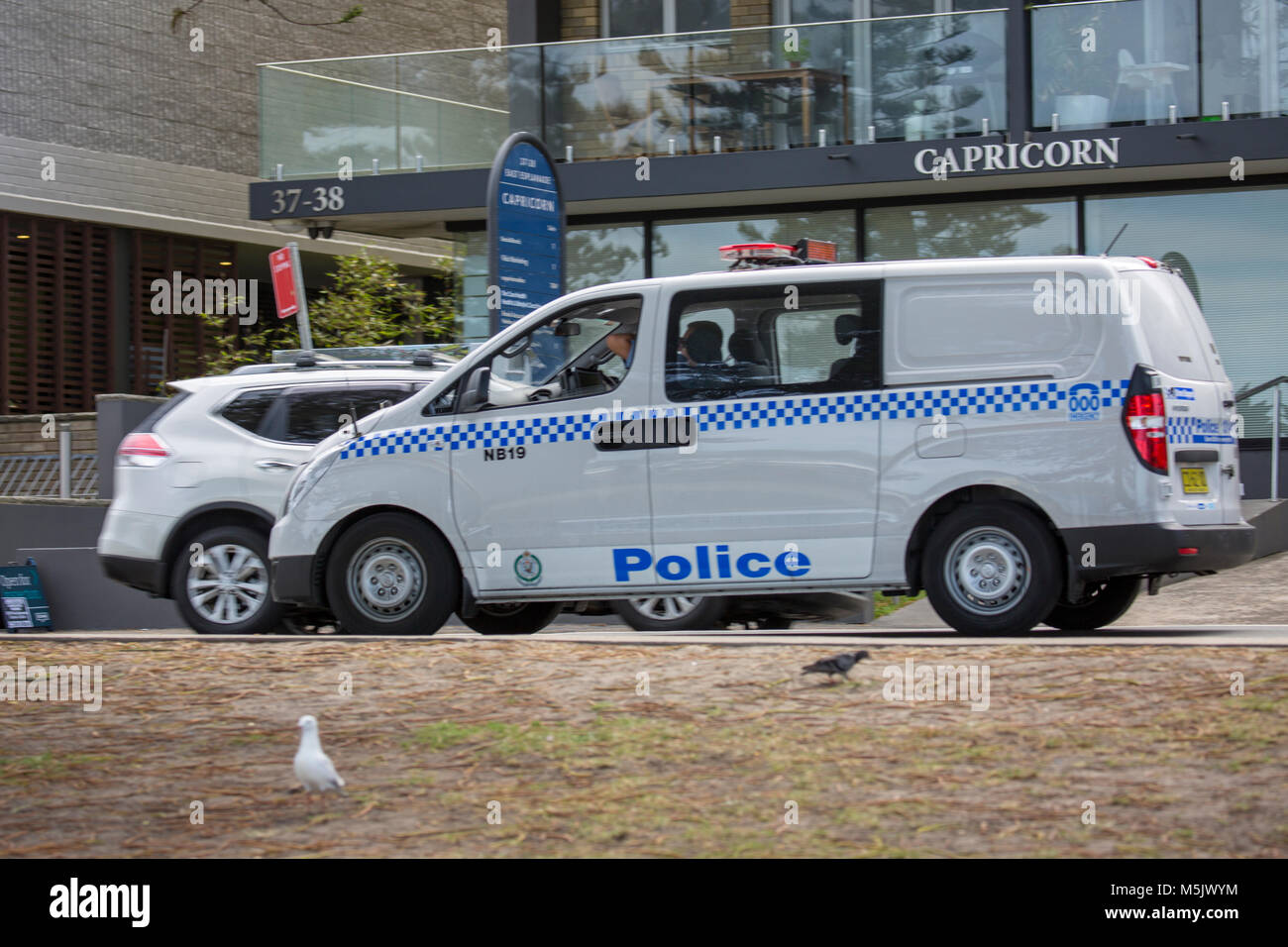 Nsw police vehicle hi-res stock photography and images - Alamy