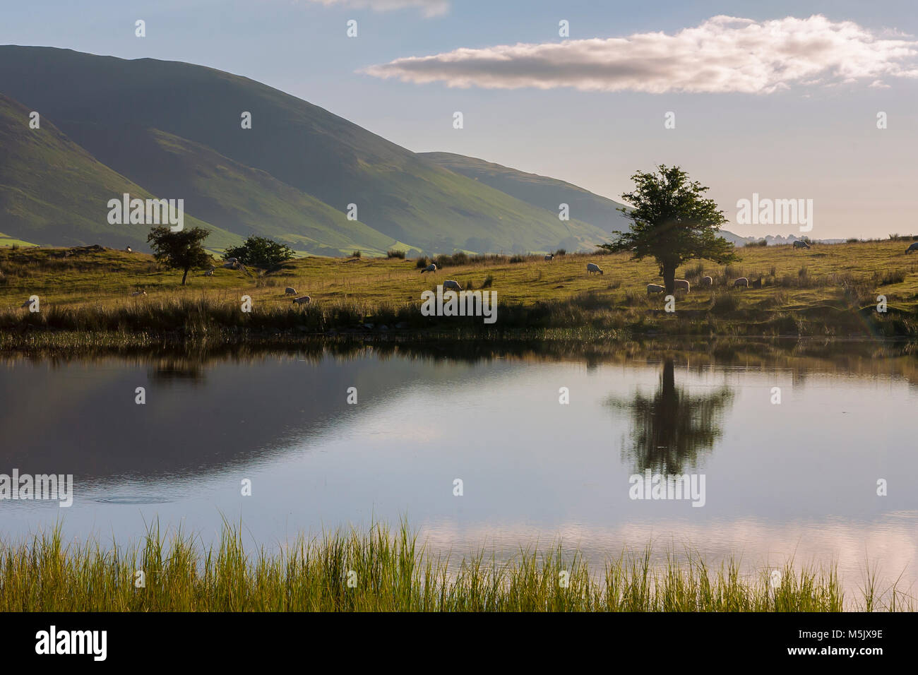 Tewet Tarn and beyond, across the Greta Valley, Blencathra, near ...