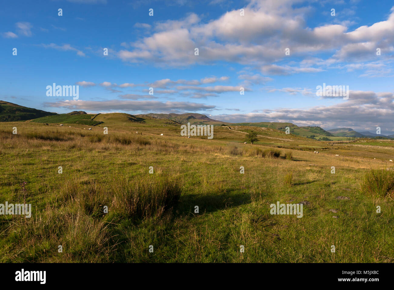 Moorland in St John's-in-the-Vale looking towards Tewet Tarn, Lake ...