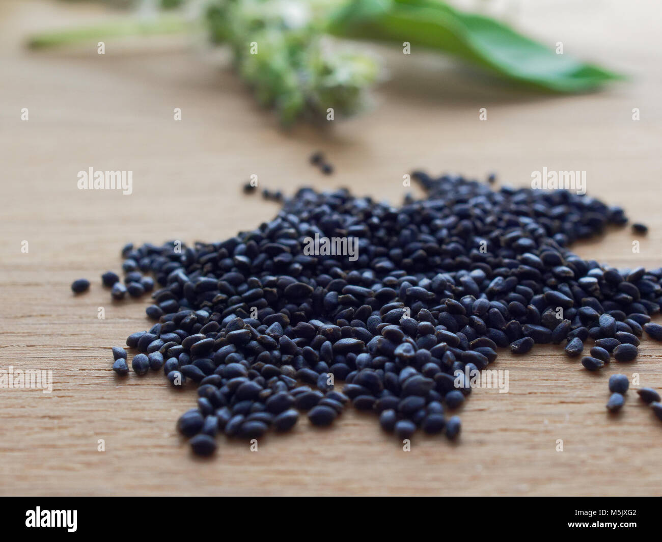 Dried sweet basil or sabja seeds with flower and leaves on wooden ...