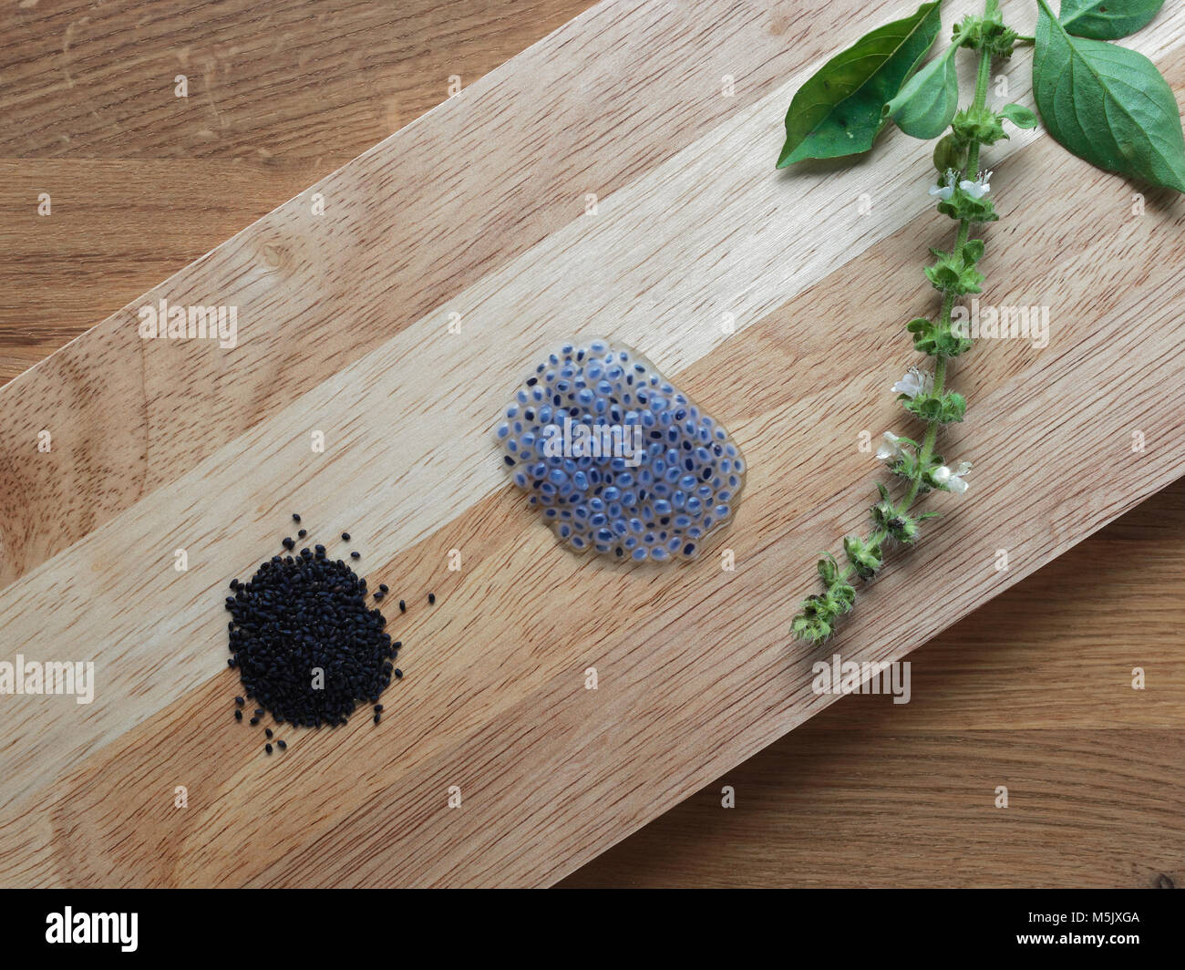 Dried and swelled sweet basil or sabja seeds with flower and leaves on ...