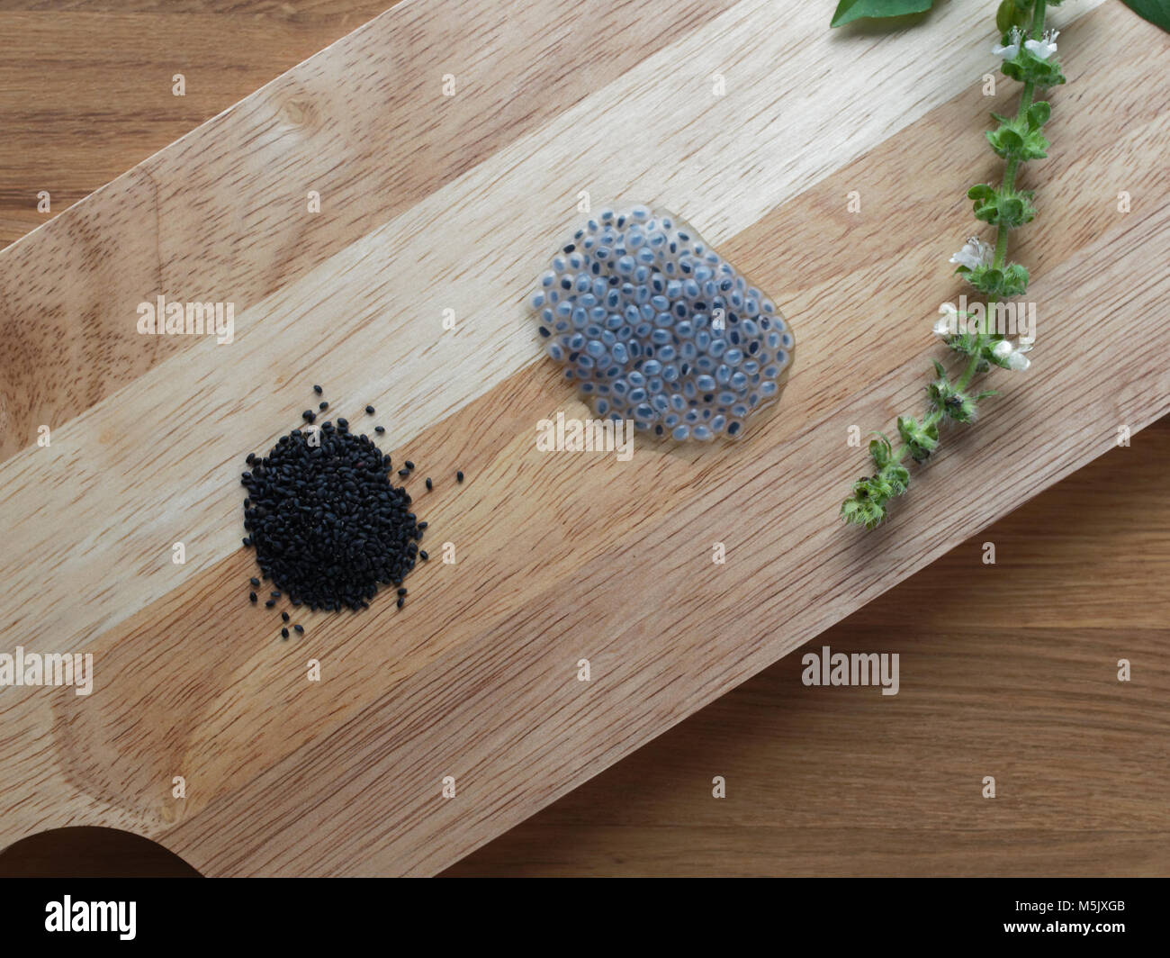 Dried and swelled sweet basil or sabja seeds with flower and leaves on ...