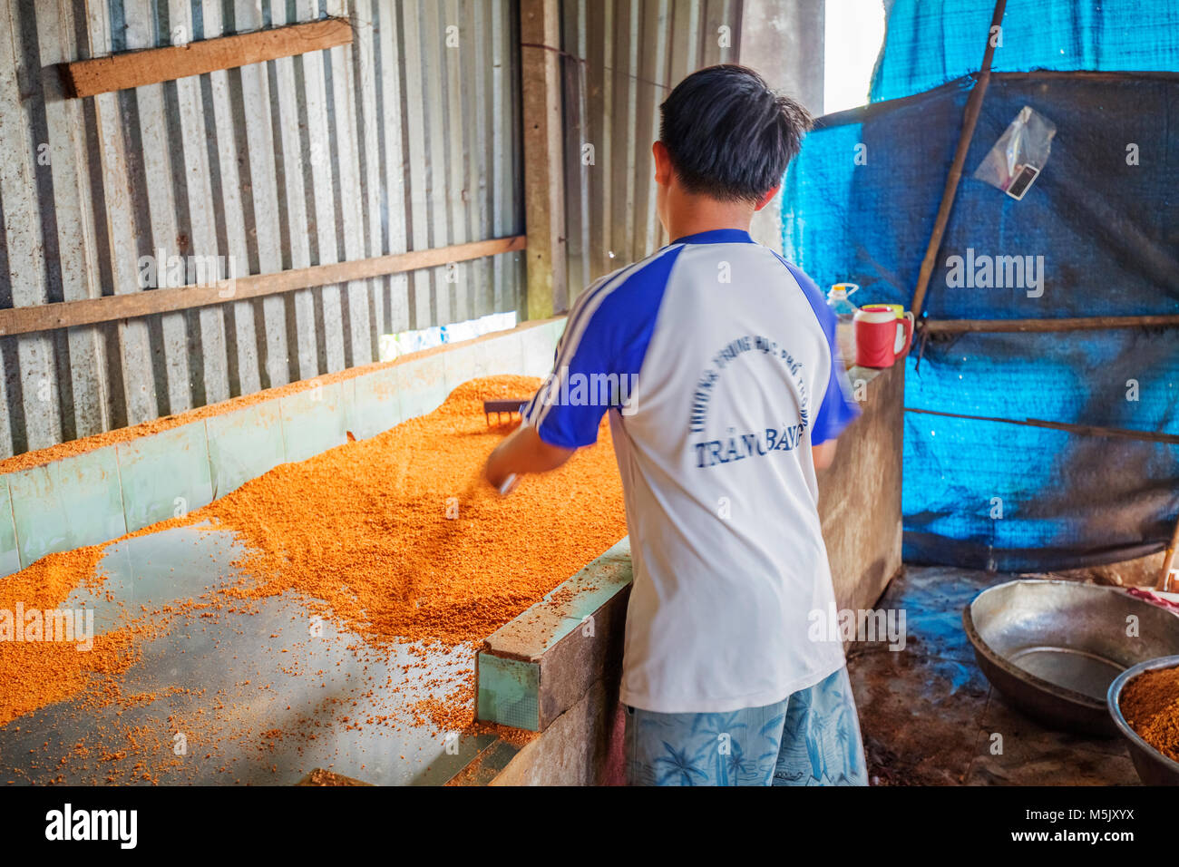 Processing Tây Ninh shrimp salt (muoi tom) of Vietnamese cuisine. Tay ...