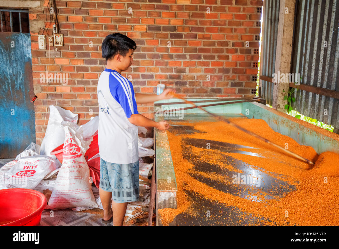 Processing Tây Ninh shrimp salt (muoi tom) of Vietnamese cuisine. Tay ...