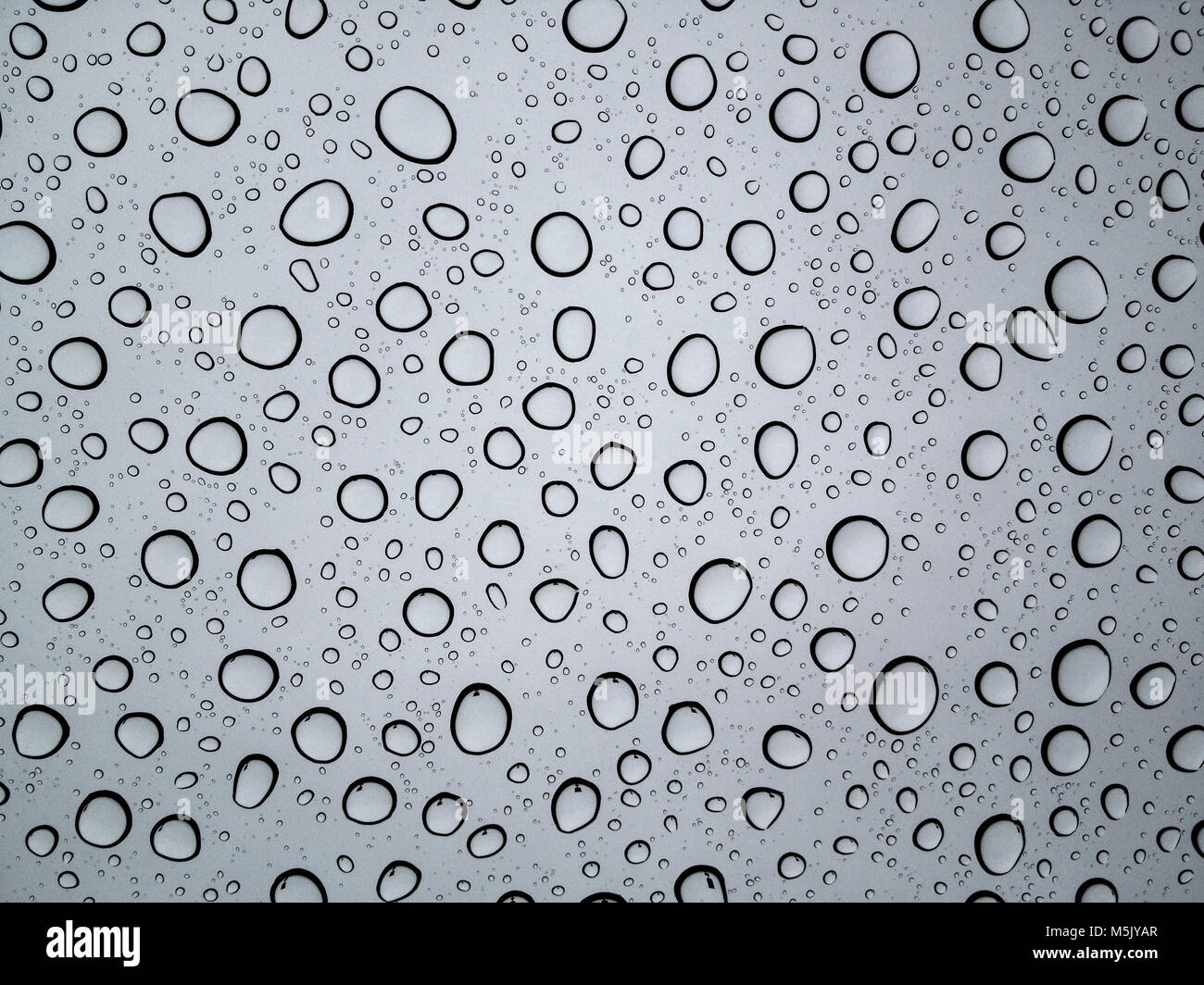 random pattern of rain droplets Stock Photo - Alamy