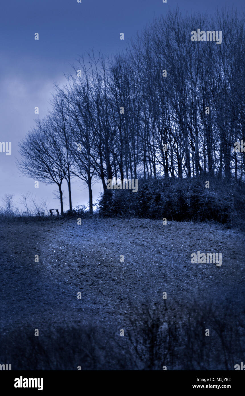 Dull Light Stock Photos & Dull Light Stock Images - Alamy