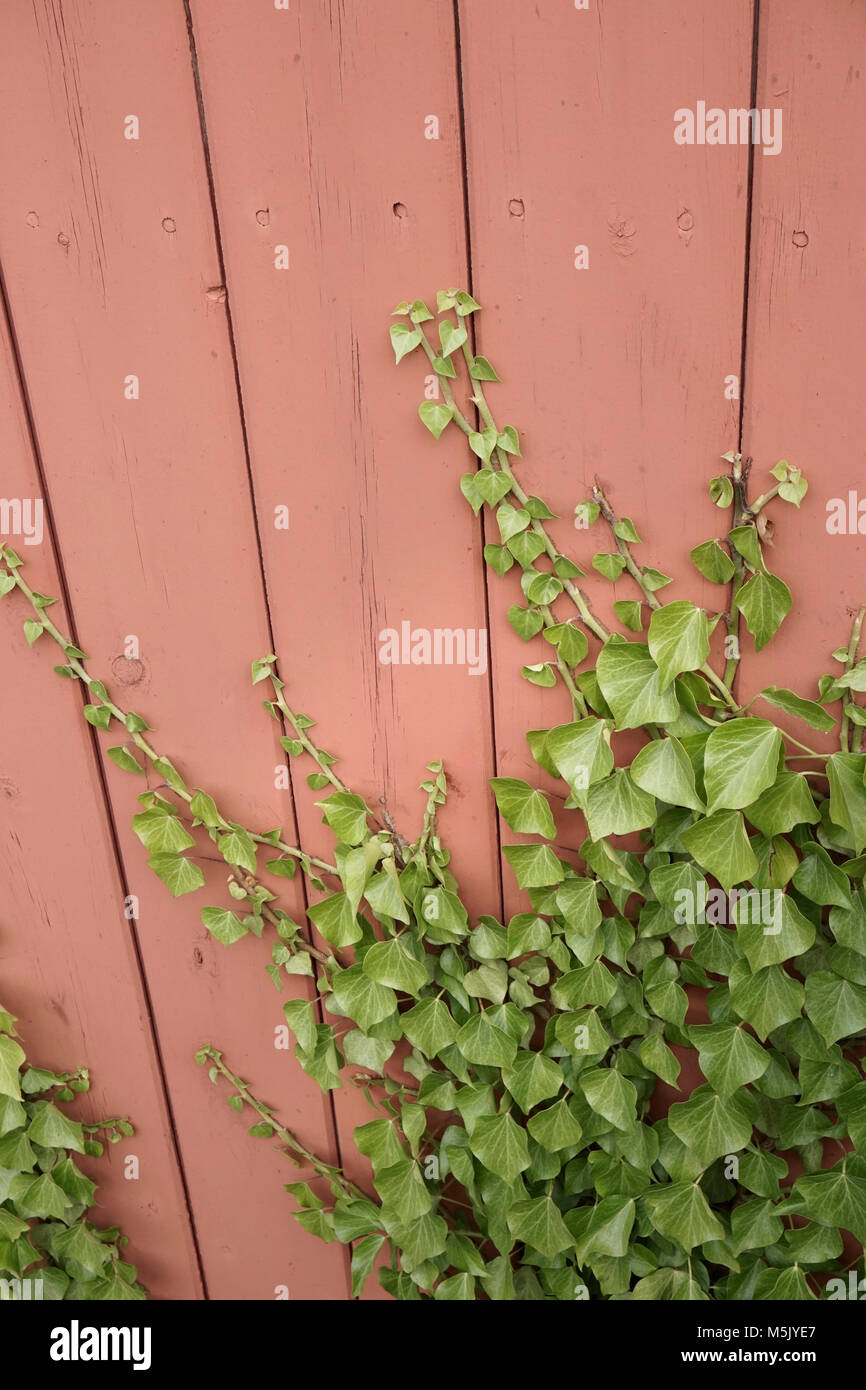 Growing architecture hi-res stock photography and images - Alamy