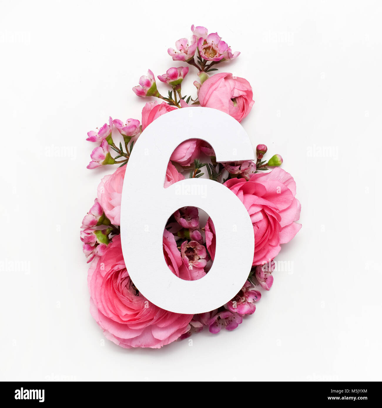 Layout with colorful flowers, leaves and number six. Flat lay Stock ...