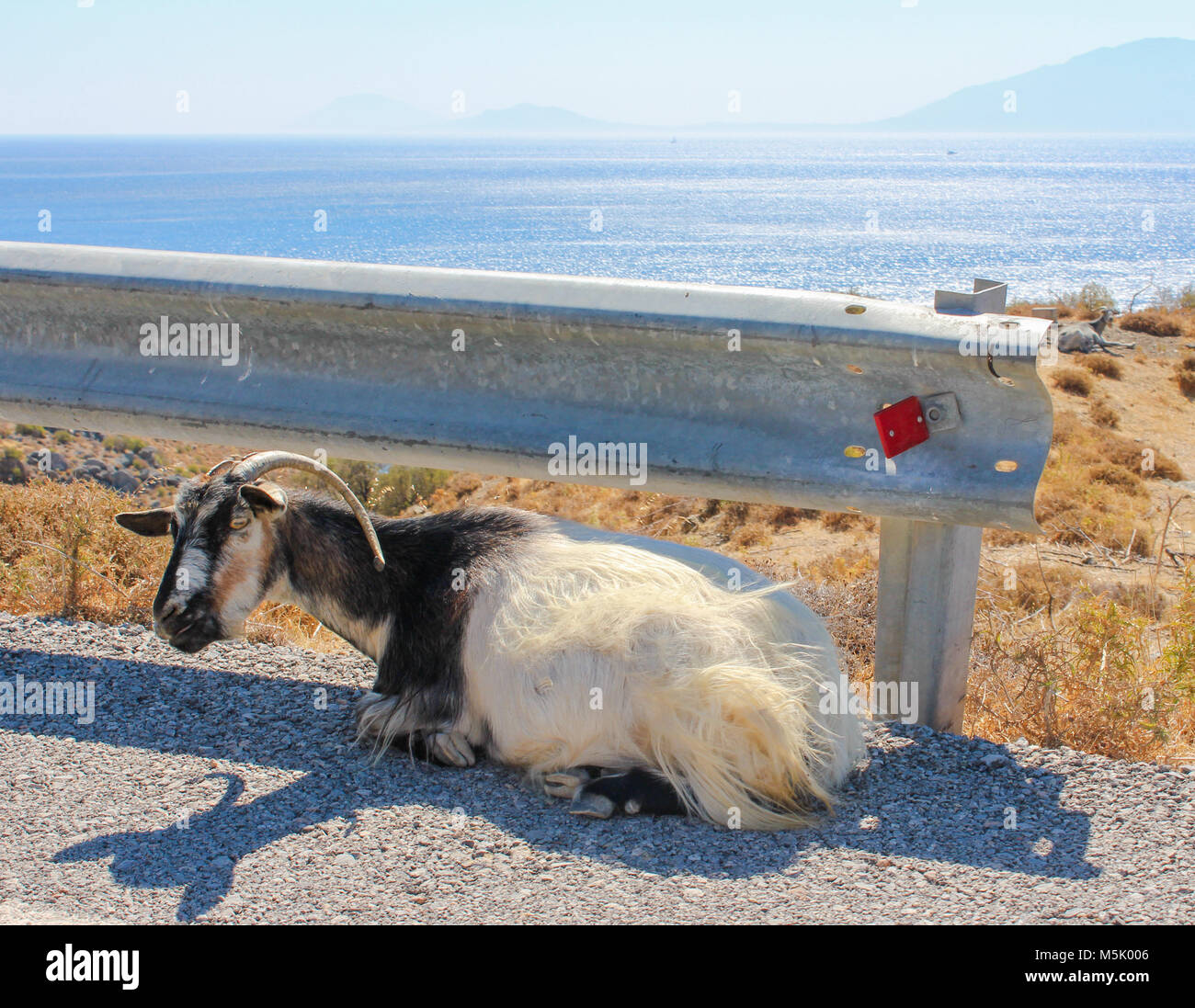 Beautiful goat island hi-res stock photography and images - Alamy
