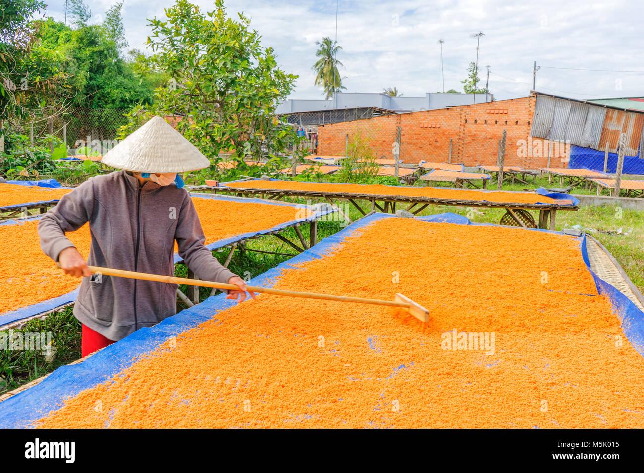 Processing Tây Ninh shrimp salt (muoi tom) of Vietnamese cuisine. Tay ...