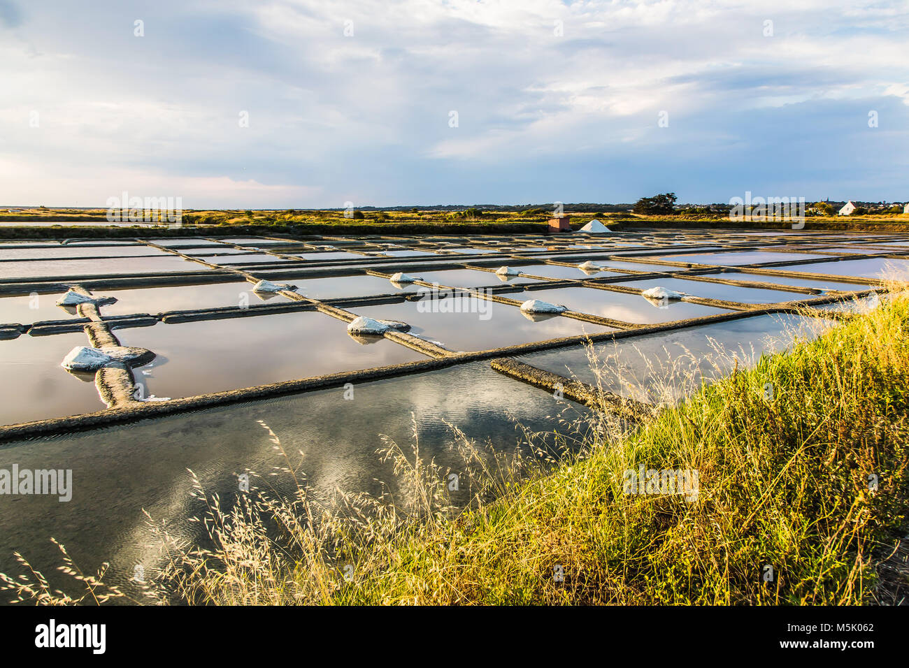 Saline field in guerande bretagne Stock Photo - Alamy