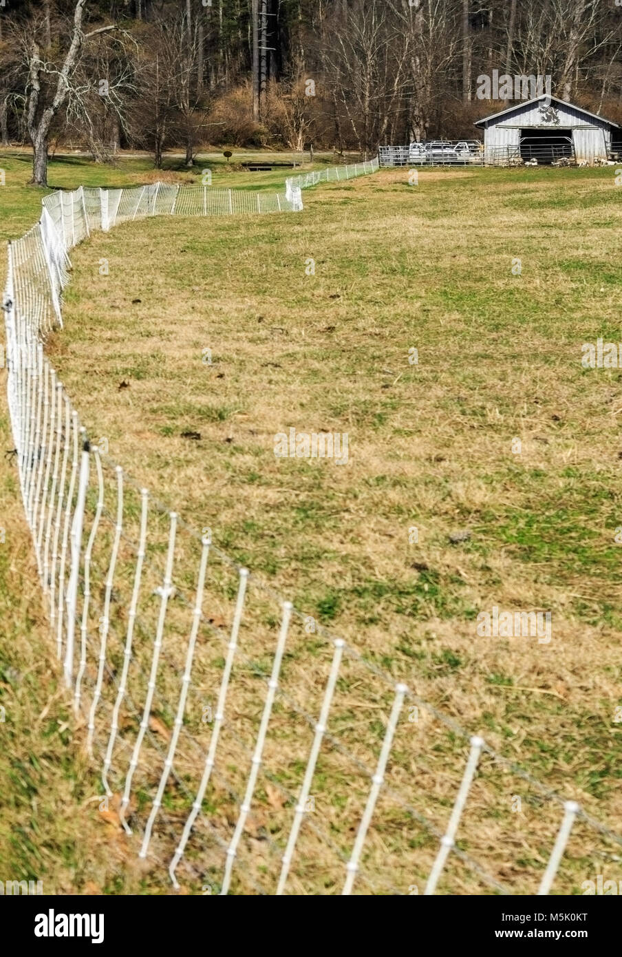 A white fence makes a curving line leading to a barn and sheep in a ...