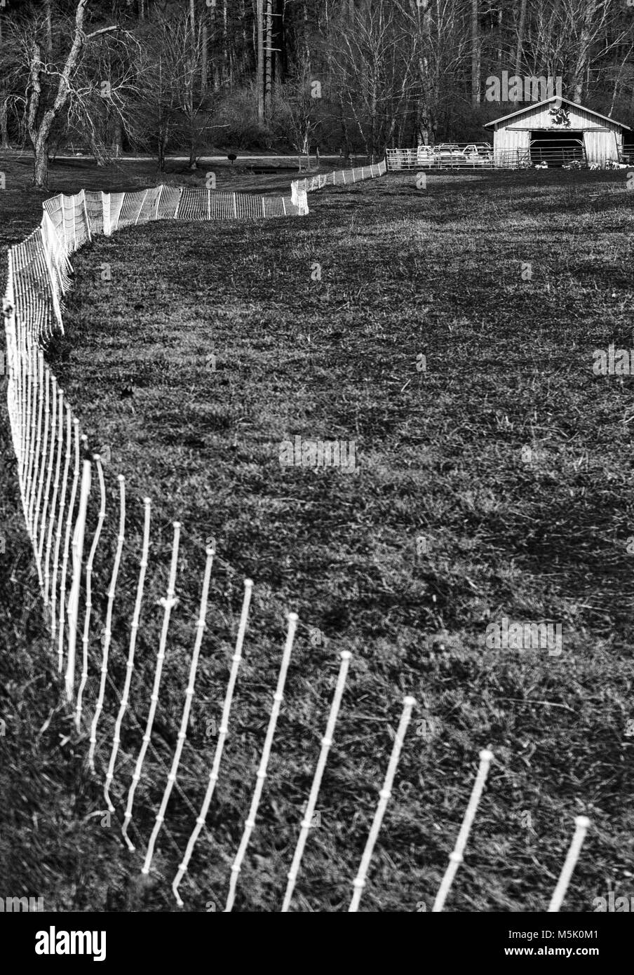 Curving lines line Black and White Stock Photos & Images - Alamy