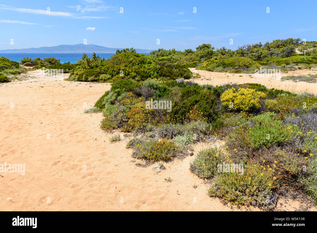 Green plants and dunes on cliff near Aliko beach on Naxos island ...