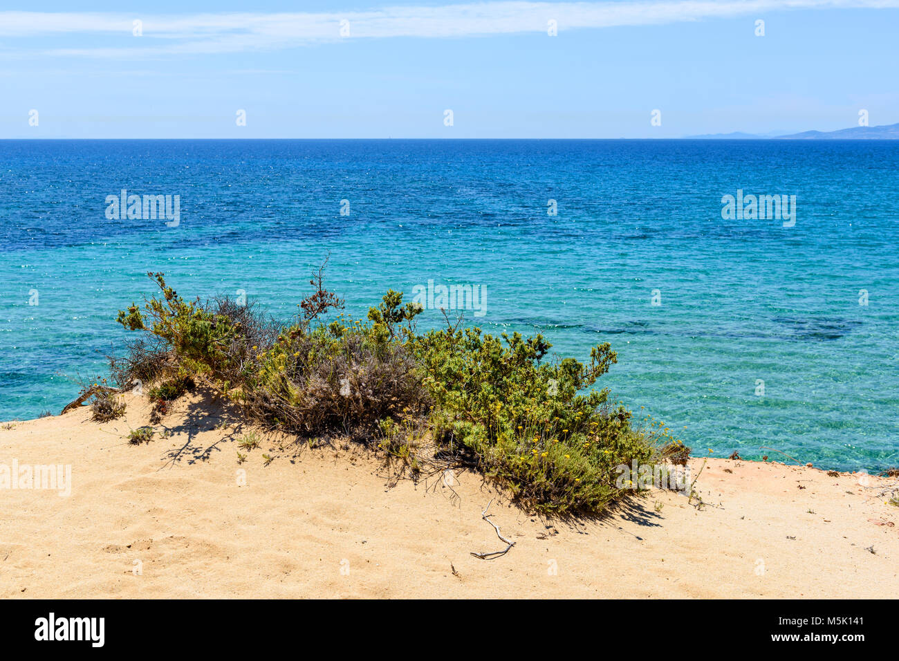Green plants on cliff and view of crystal sea waters on Naxos island ...