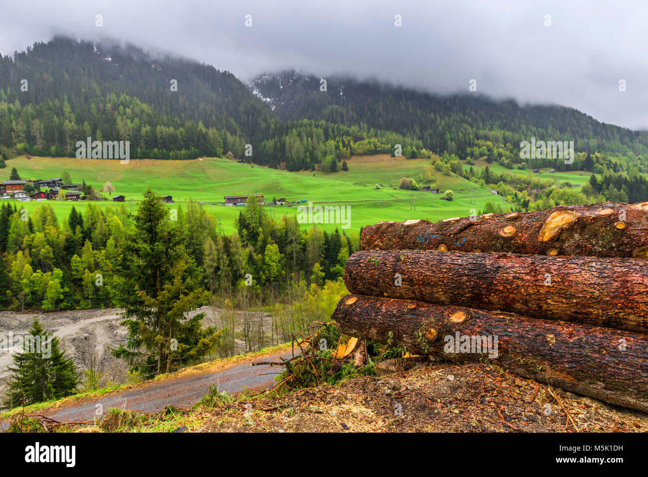 Lumbering hi-res stock photography and images - Alamy