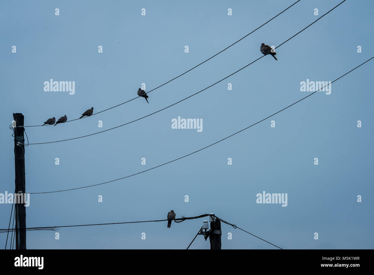 Alignment poles hi-res stock photography and images - Alamy