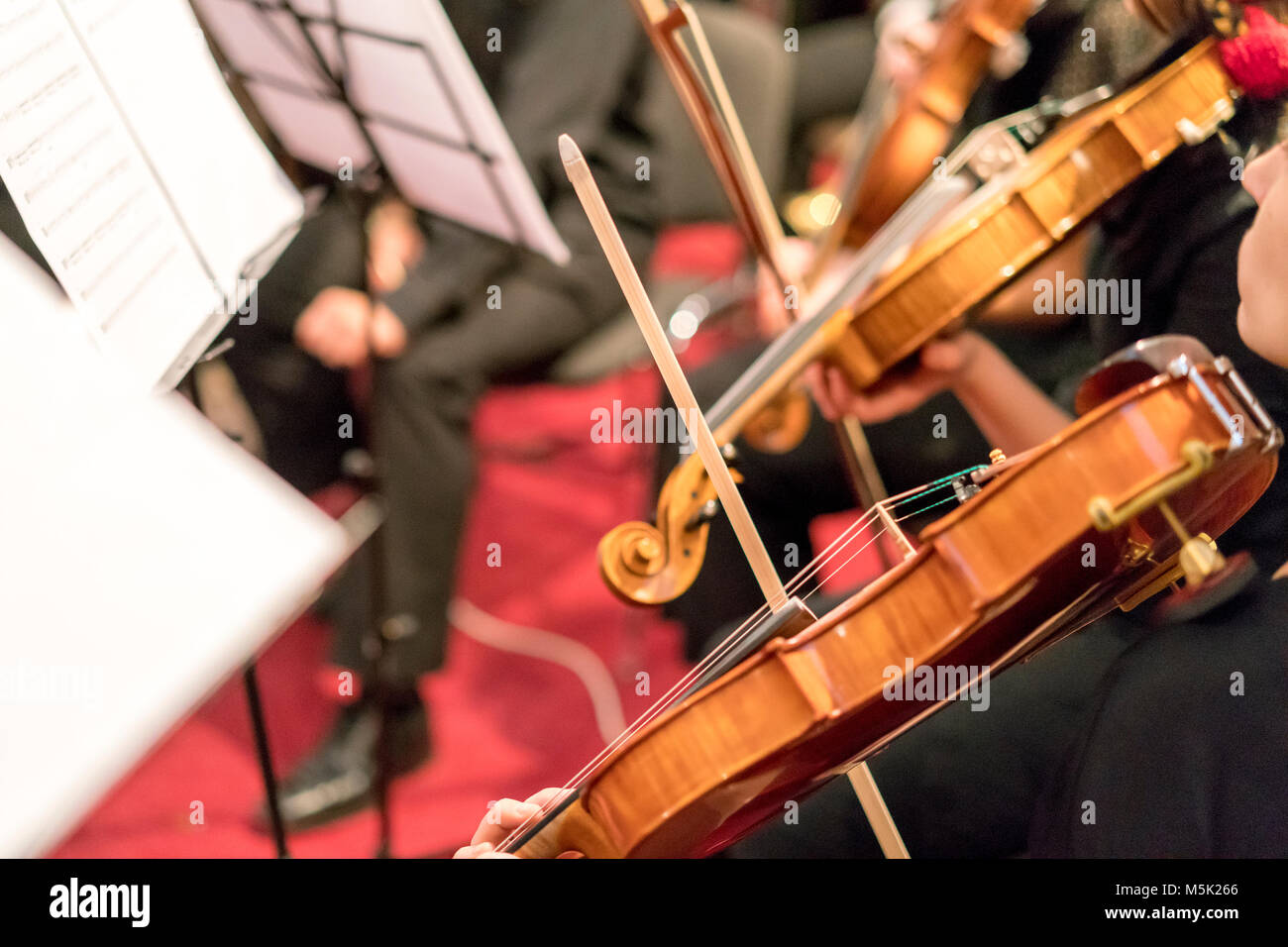 Detail of violin being played by a musician Stock Photo - Alamy