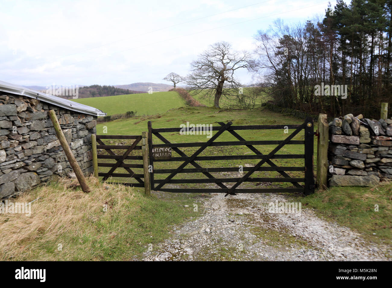 English Countryside Field Gate with 'Keep Dog on Lead' sign Stock Photo ...
