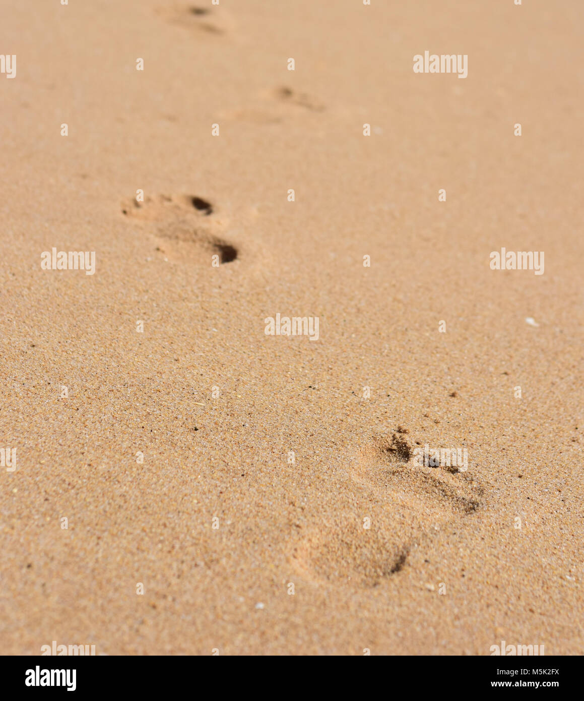 Falesia Beach in Portugal Stock Photo - Alamy