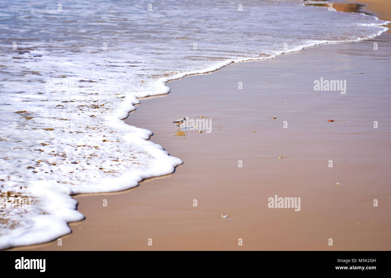 Falesia Beach in Portugal Stock Photo - Alamy