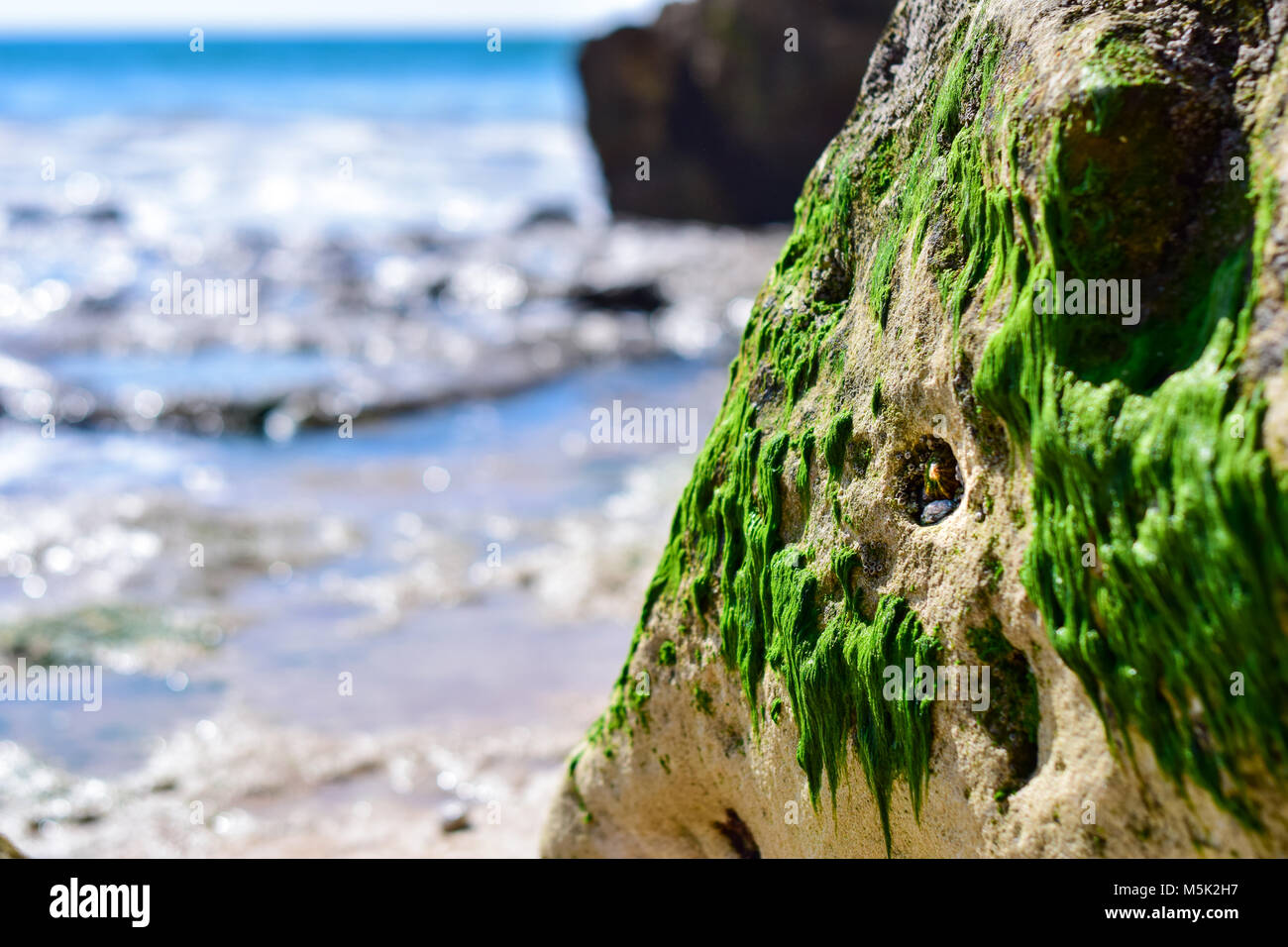 Falesia Beach in Portugal Stock Photo - Alamy