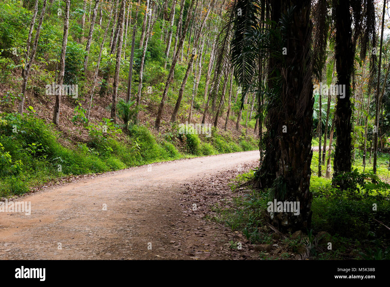 Thailand national park hi-res stock photography and images - Alamy