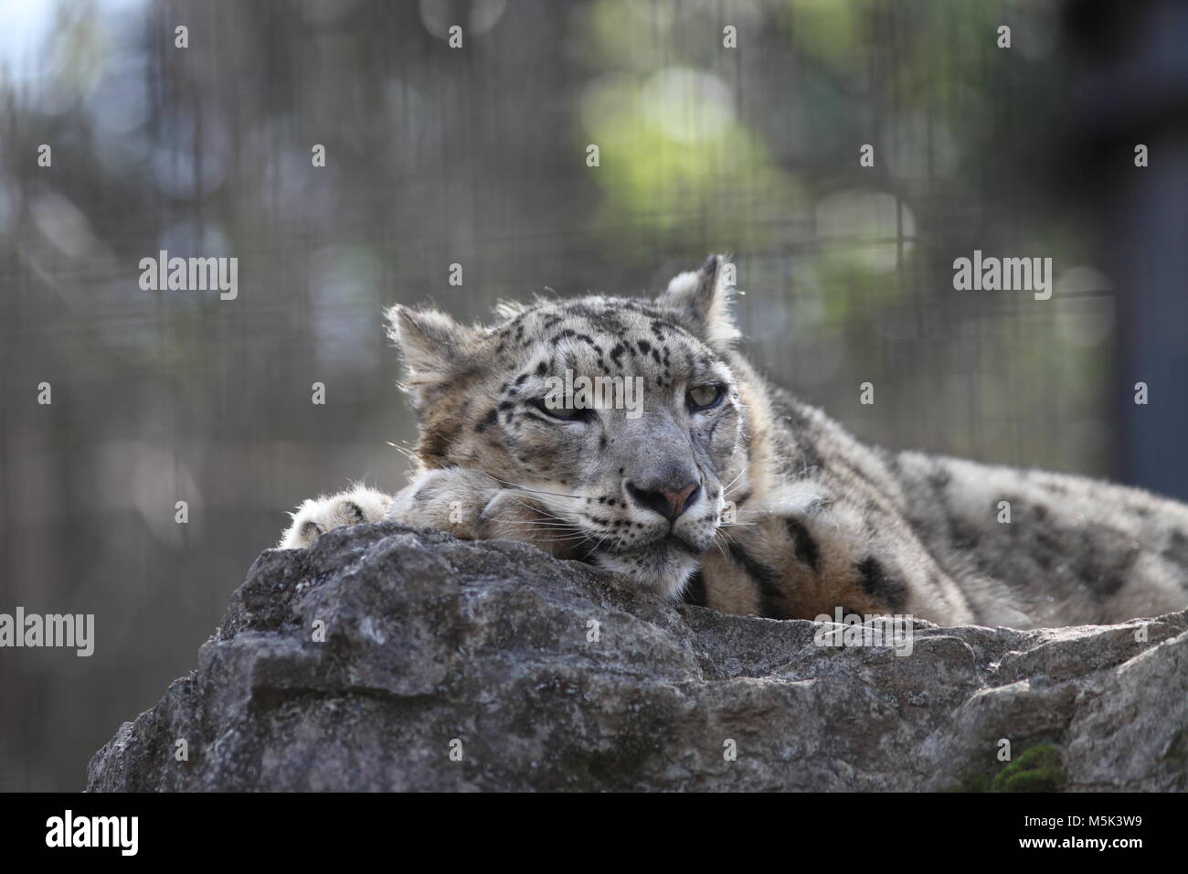 Tama Zoological Park,Tokyo Stock Photo - Alamy