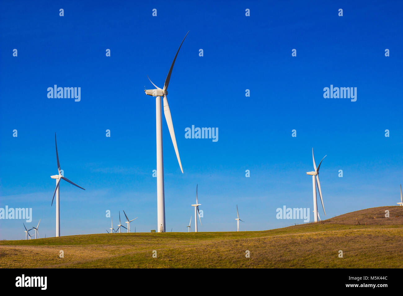 Three Bladed Energy Producing Windmill Farm Stock Photo - Alamy