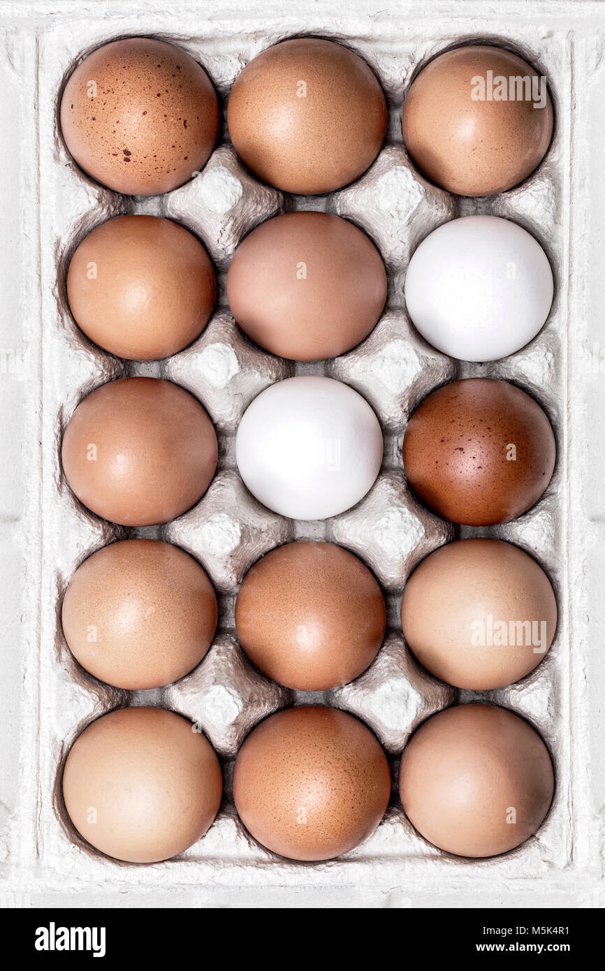 Fifteen egg box hi-res stock photography and images - Alamy