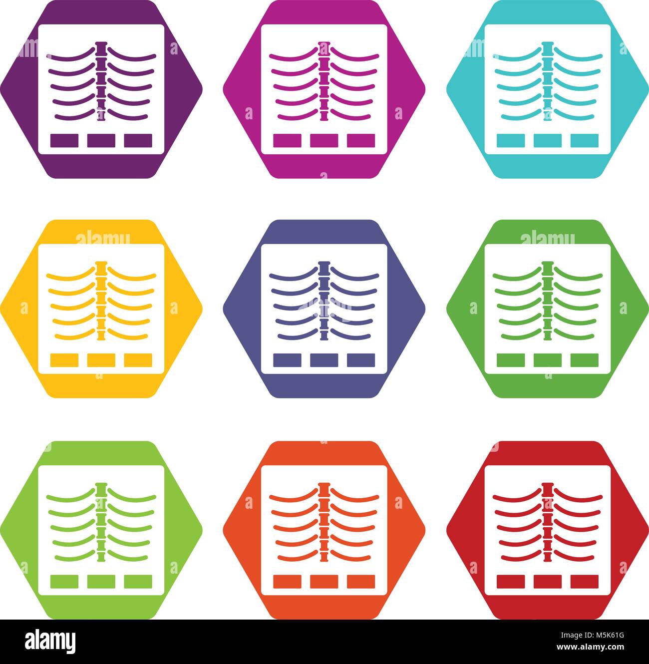 X ray photo icon set color hexahedron Stock Vector Image & Art - Alamy