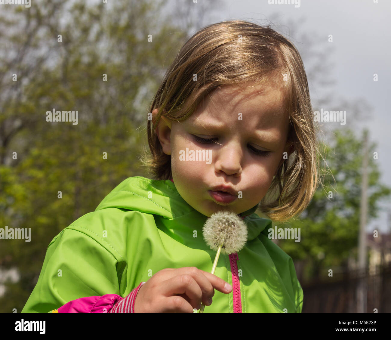 Beautiful little girl blowing dandelion. Selective focus Stock Photo ...