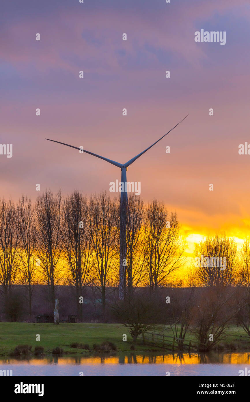 Wanlip whopper hi-res stock photography and images - Alamy