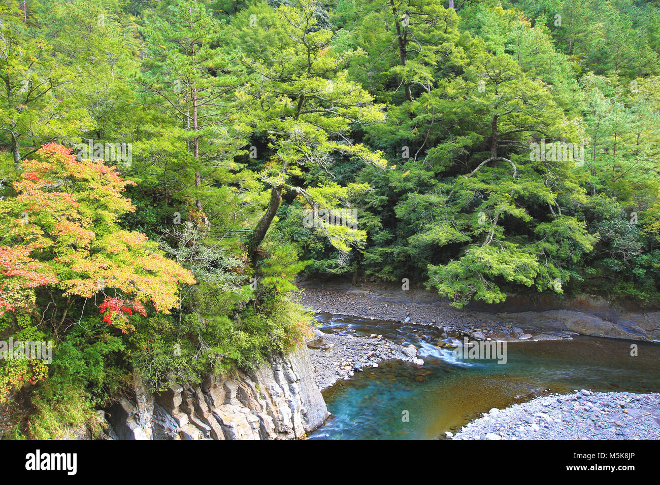 Beautiful mountain landscape with trees and flowing river in autumn ...
