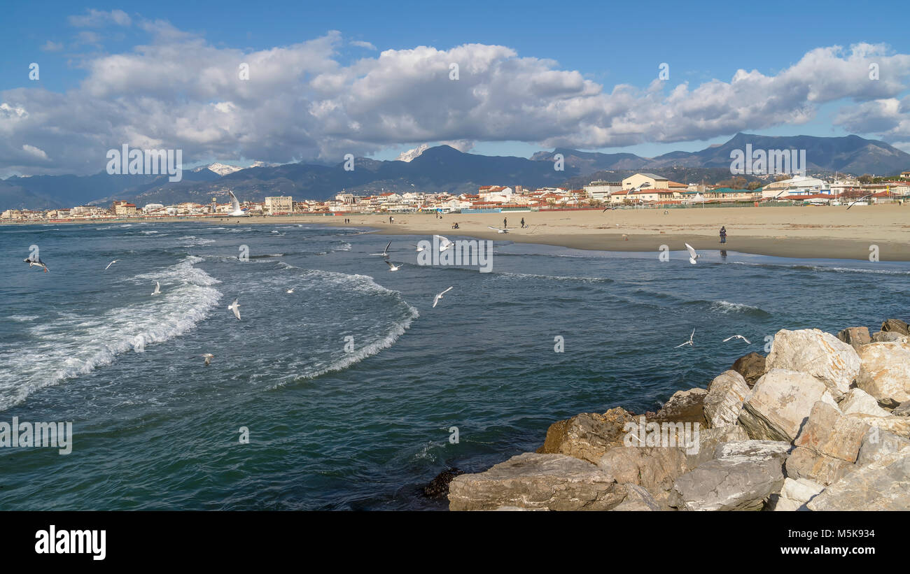 Seagulls flying on the beach in Viareggio, Lucca, Tuscany, Italy Stock ...