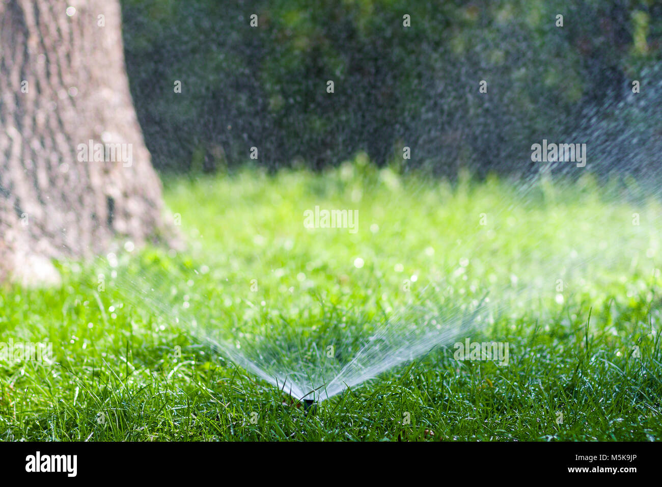 Lawn water sprinkler spraying water over grass in garden on a hot ...