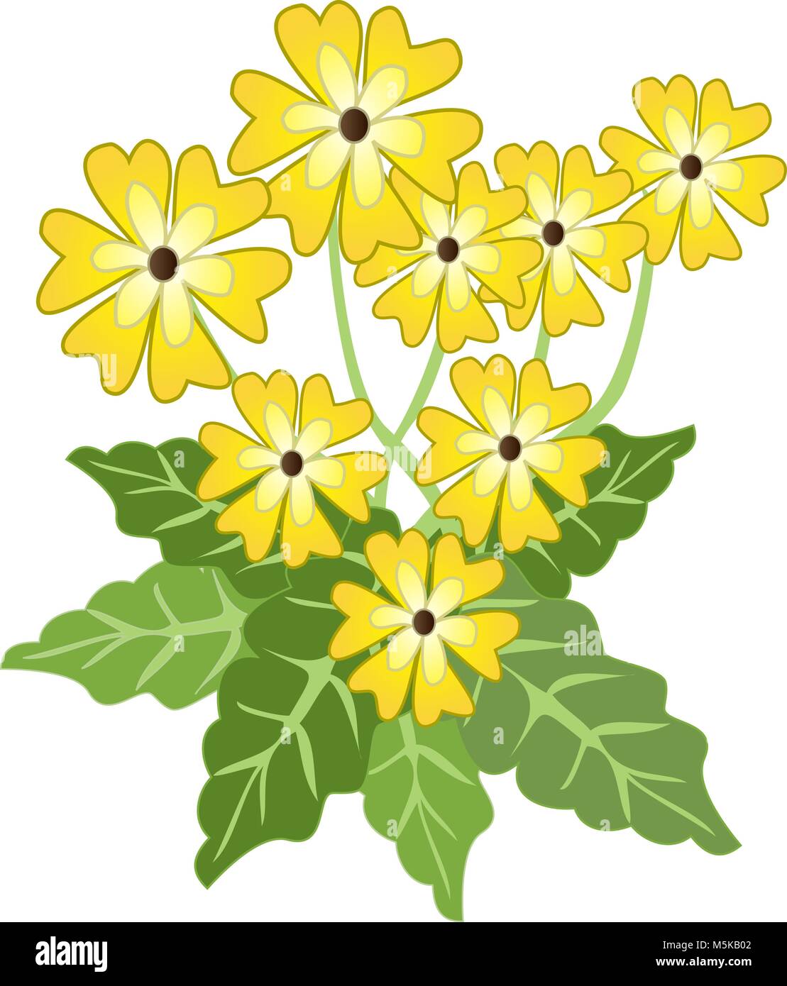 Primrose wild plants Stock Vector Images - Alamy