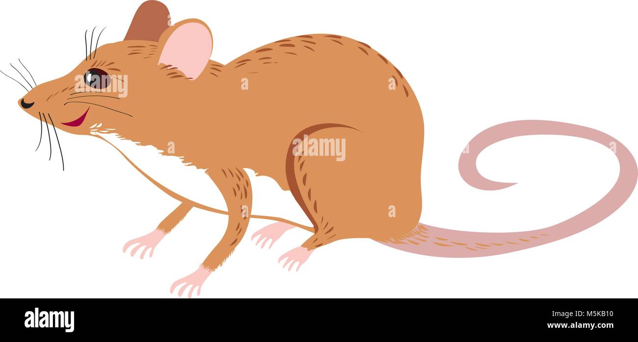 Cartoon rat hi-res stock photography and images - Alamy