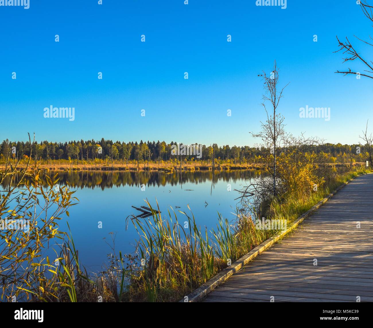 Wooden bridge next to a lake in front of a blue sky, sun shining ...