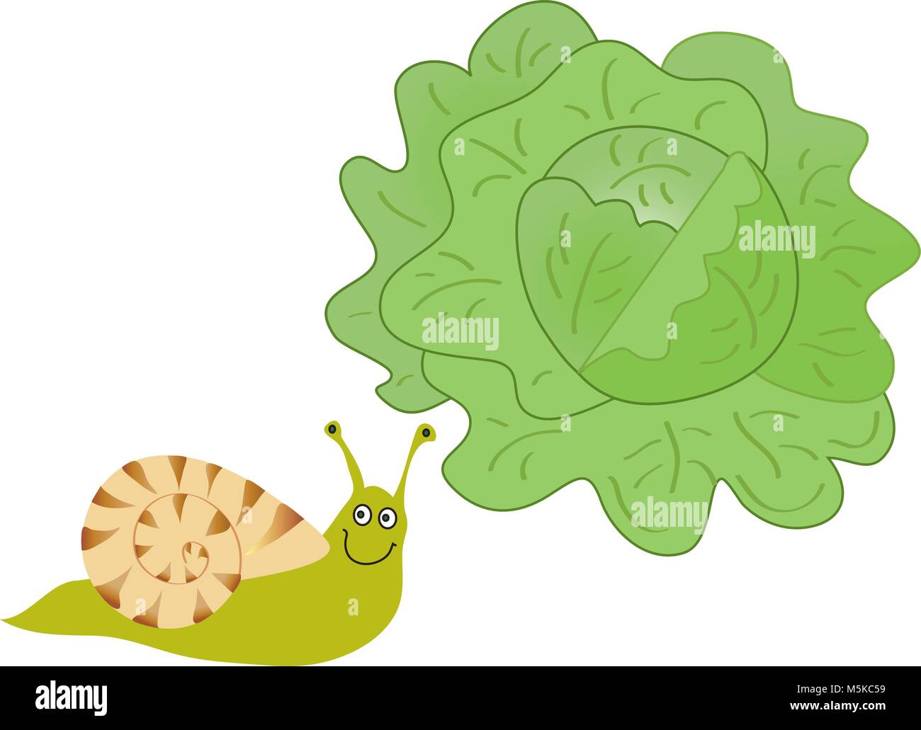 A cartoon smiling snail with a delicious looking fresh lettuce Stock ...