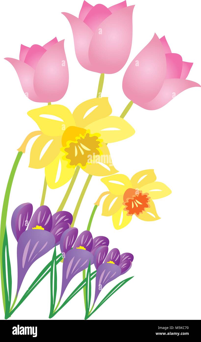 An illustration of some spring flowers,including tulips,daffodils,and ...