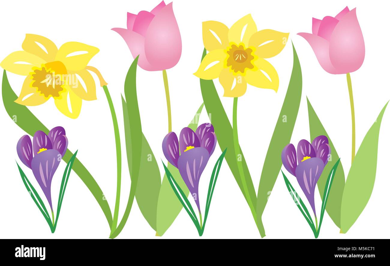 Selection plants Stock Vector Images - Alamy