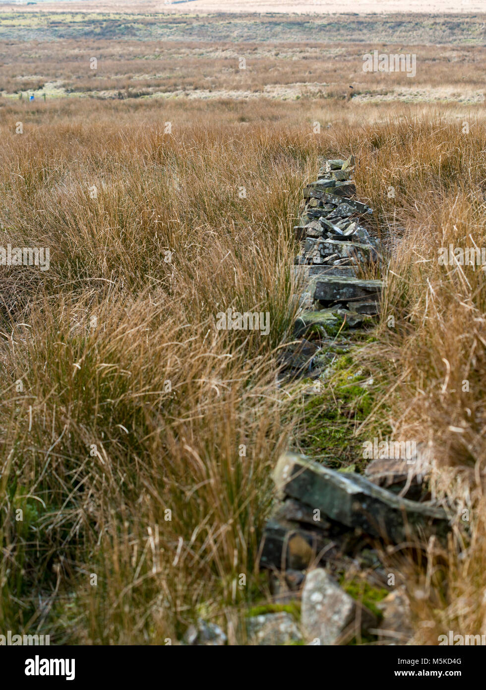 Ruined farmhouse on Turton Moor, West Pennine Moors, Lancashire ...