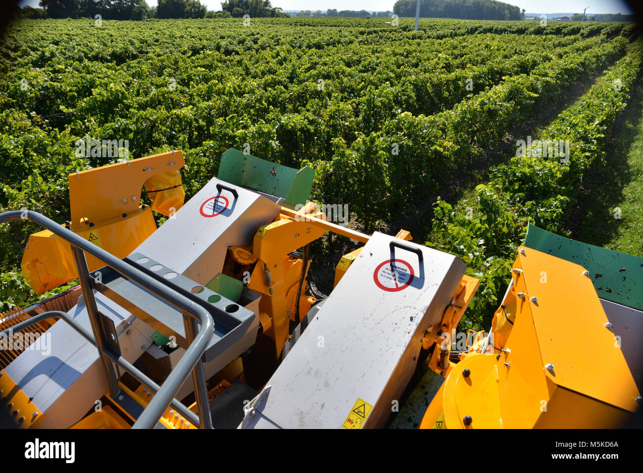 Mechanical Grape Harvesting High Resolution Stock Photography and Images - Alamy