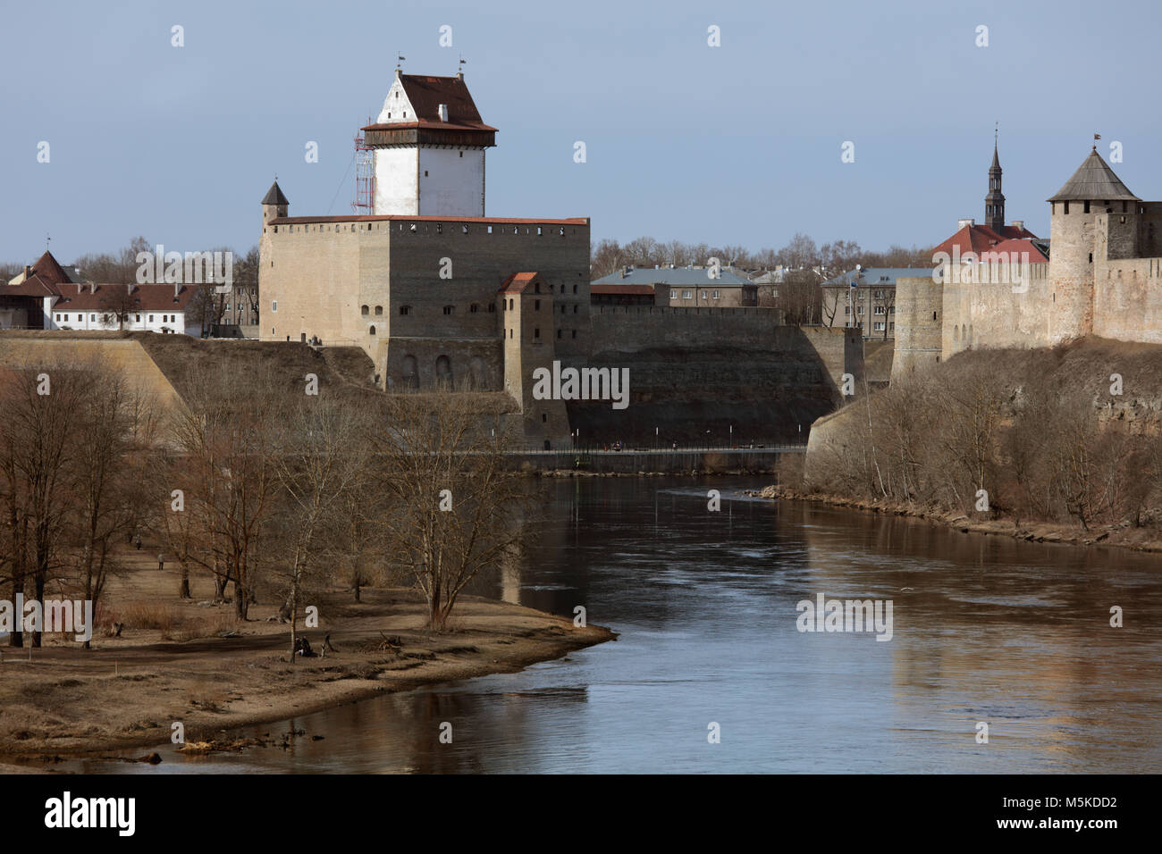 View to Narva (left) and Ivangorod fortresses on the river Narva at the ...
