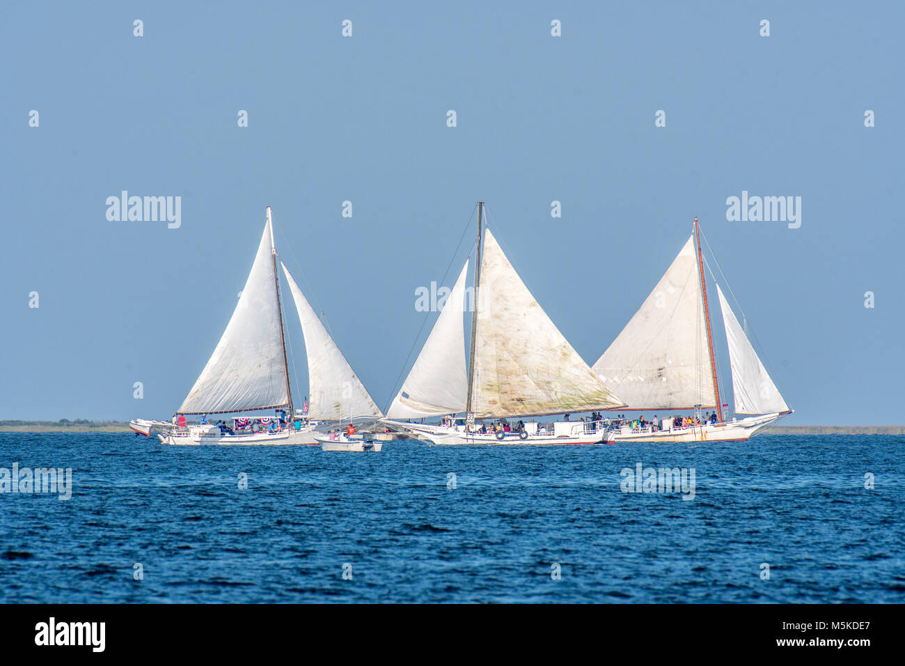 Side view of a group of traditional Skipjack boats competing against ...