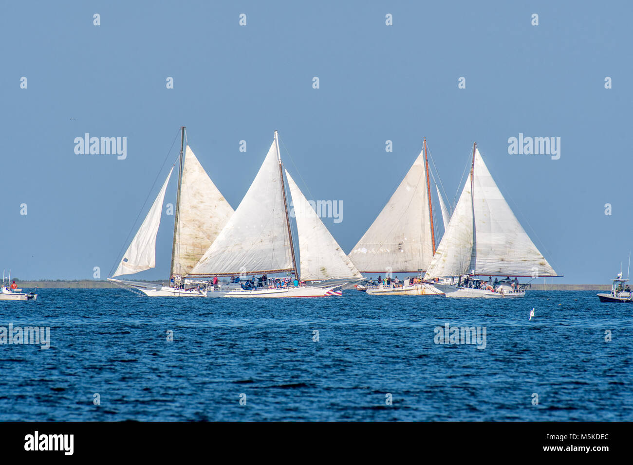 Side view of a group of traditional Skipjack boats competing against ...