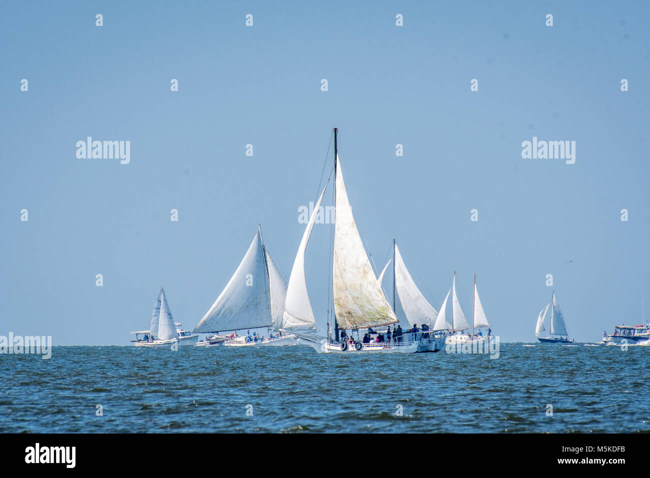 Group of traditional Skipjack boats on the open waters of the ...