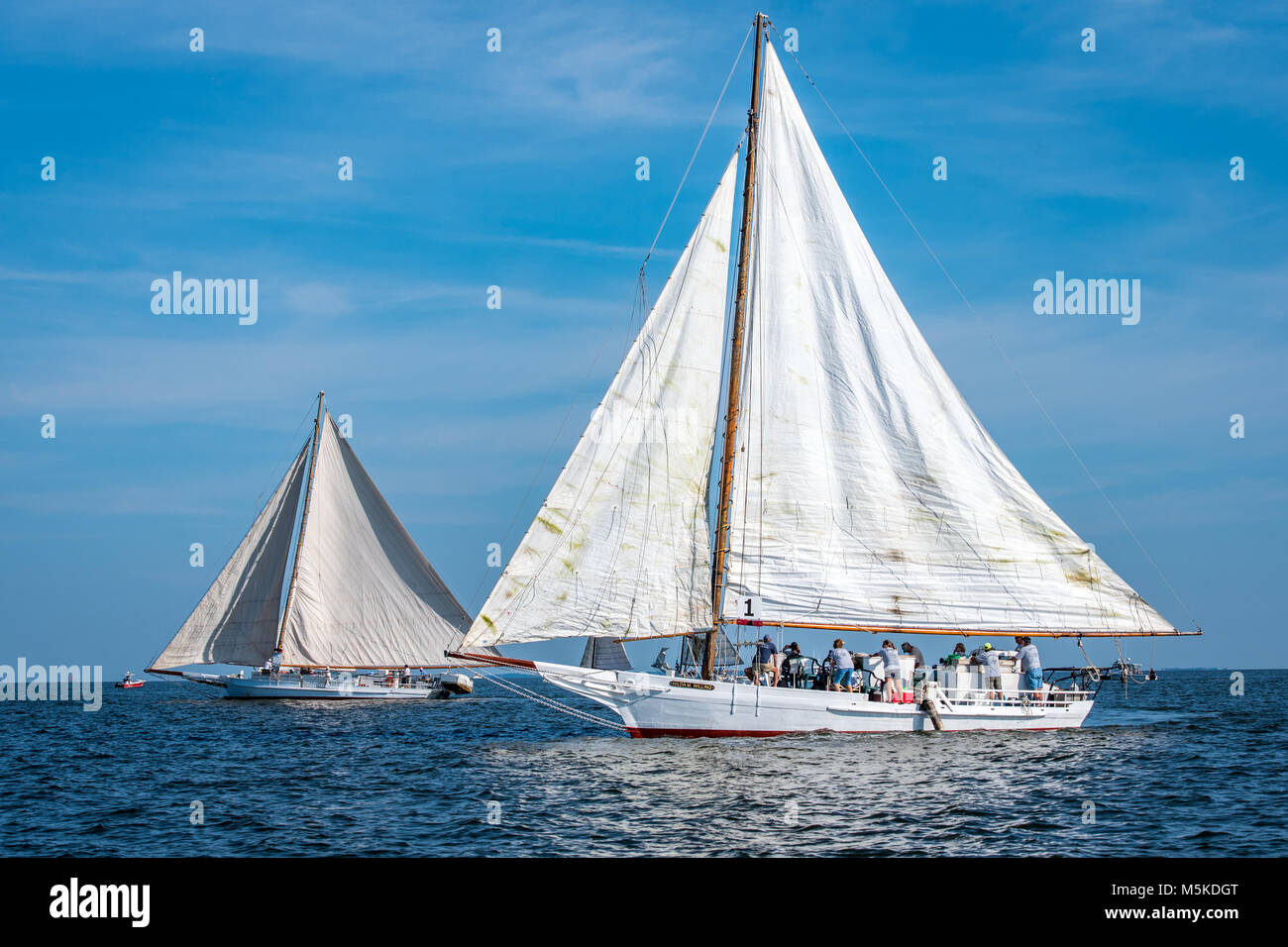 Two traditional Skipjack boats sailing neck and neck on the Chesapeake ...